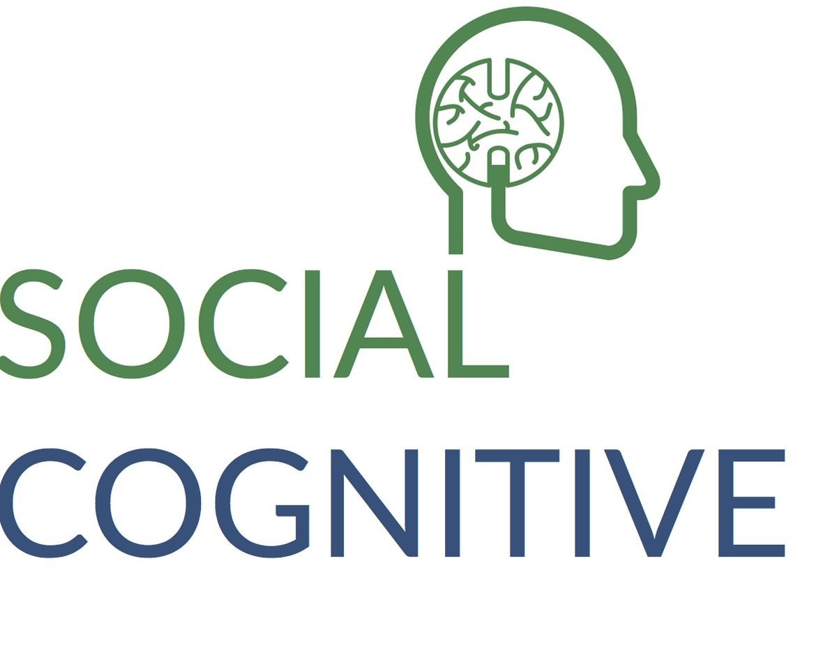 What Is Social Cognitive Theory Variables Role And Examples