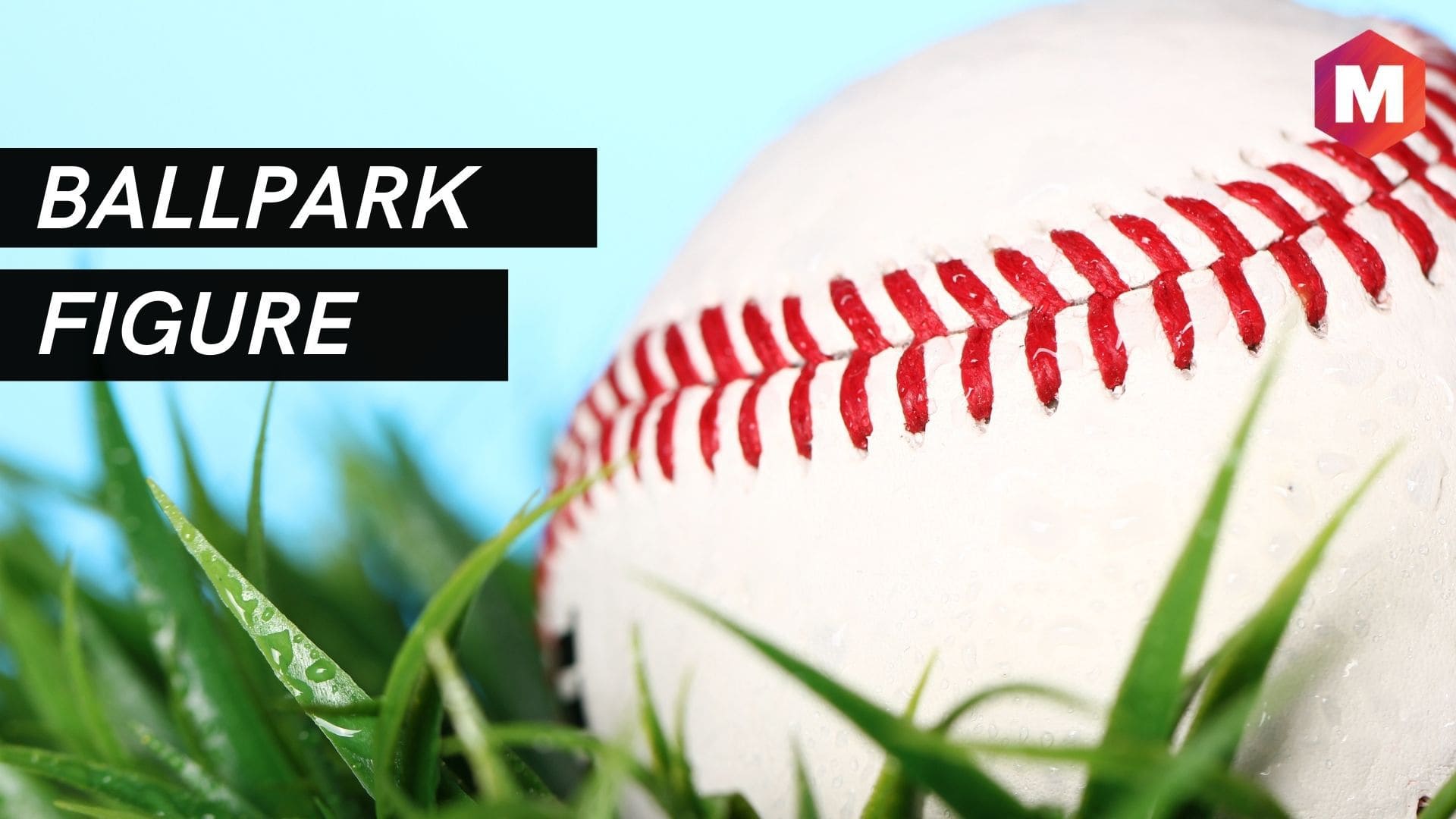 Ballpark Figure Definition Meaning Marketing91